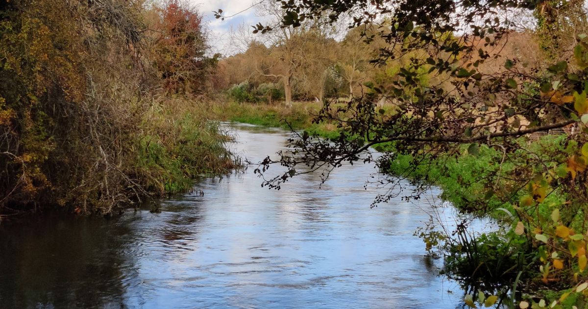 11+ Longparish/Wherwell/Andover - Ramblers