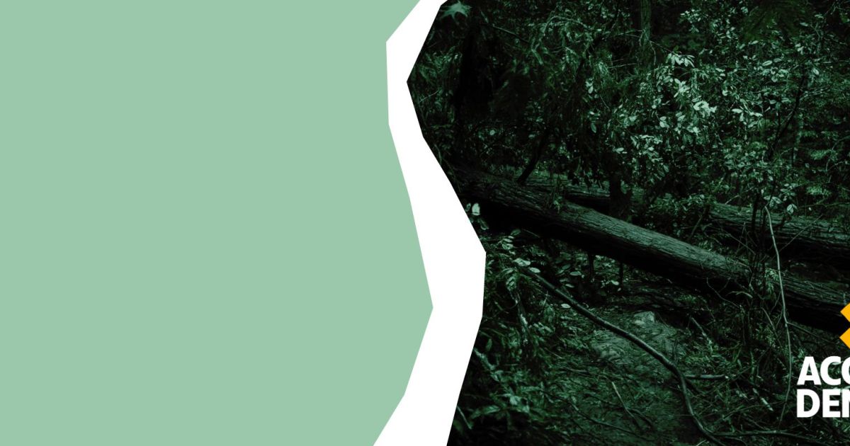 The Ramblers: Britain’s walking charity