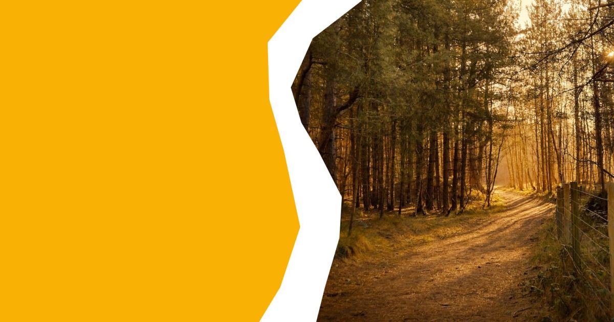 The Ramblers: Britain’s walking charity
