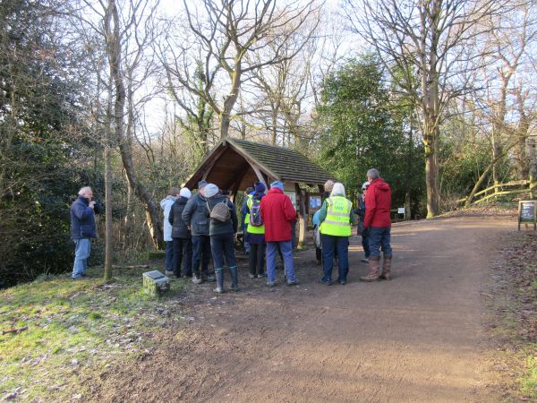 Ramblers Wellbeing Walks Step Out Sheffield