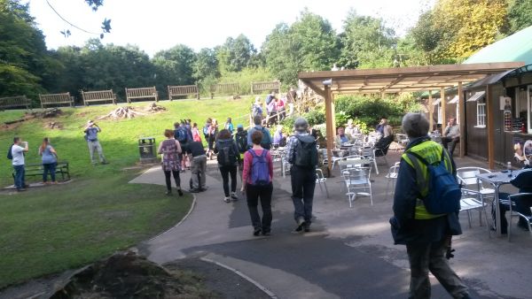 Ramblers Wellbeing Walks Step Out Sheffield