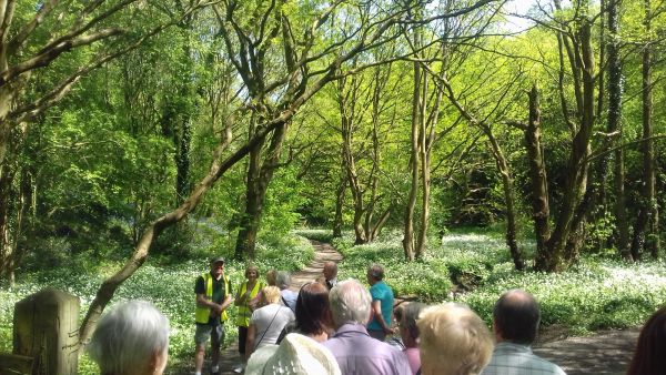 Ramblers Wellbeing Walks Step Out Sheffield