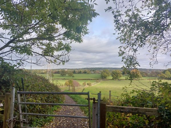 GP Direct (West Harrow Park) Walk