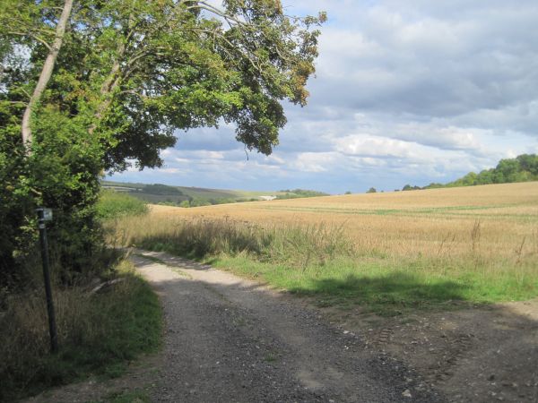 Inner London Area - Ramblers