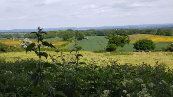 Reigate Group - Ramblers