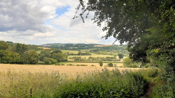 Buckinghamshire, Milton Keynes & West Middlesex Area - Ramblers