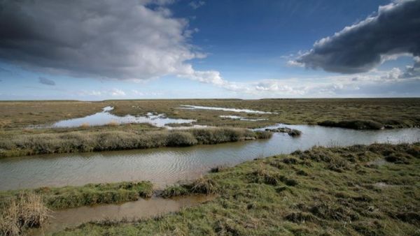 Boston Group - Ramblers