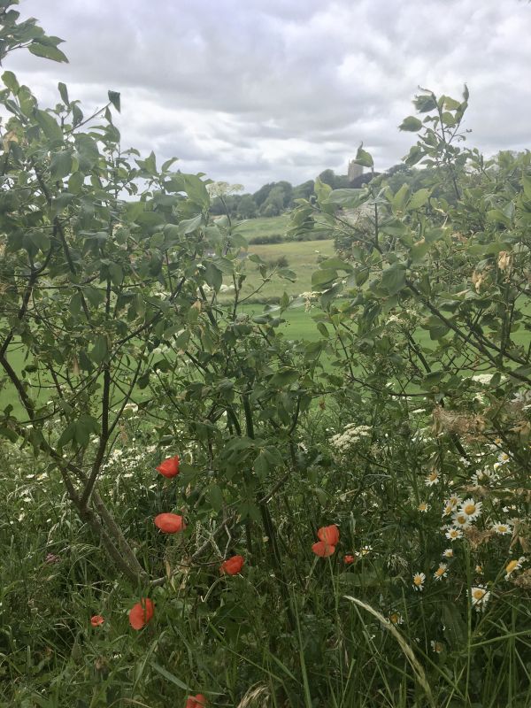 Boston Group - Ramblers