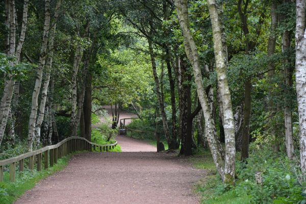 Nottingham Group - Ramblers