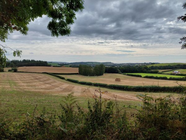 Totnes Group - Ramblers