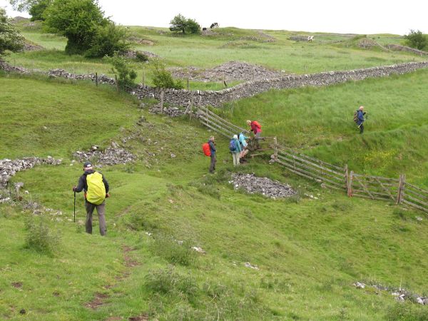 Derbyshire Dales Group - Ramblers