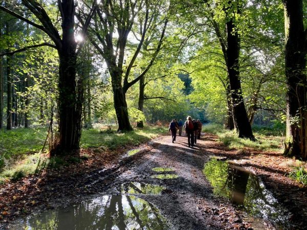 Inner London Area - Ramblers