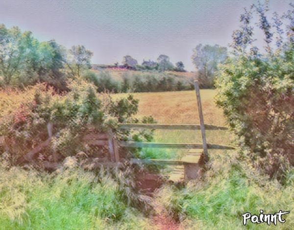 Boston Group - Ramblers