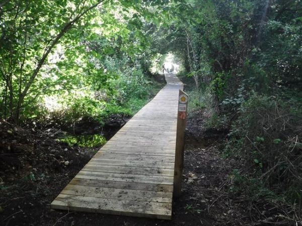 Norfolk walking routes - Ramblers