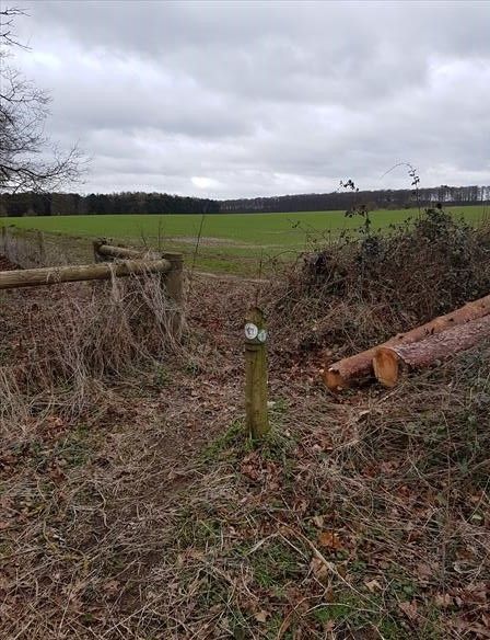 Norfolk walking routes - Ramblers