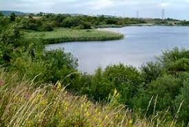 STOKE BARDOLPH TO NETHERFIELD LAGOONS, Notts. - Ramblers