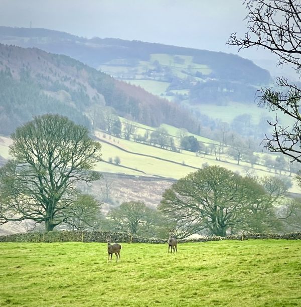 STOKE BARDOLPH TO NETHERFIELD LAGOONS, Notts. - Ramblers