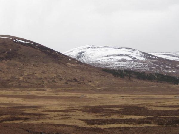 Badger trail – Fannyside Loch loop from Cumbernauld - Ramblers