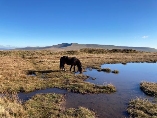 Cardiff Group - Ramblers