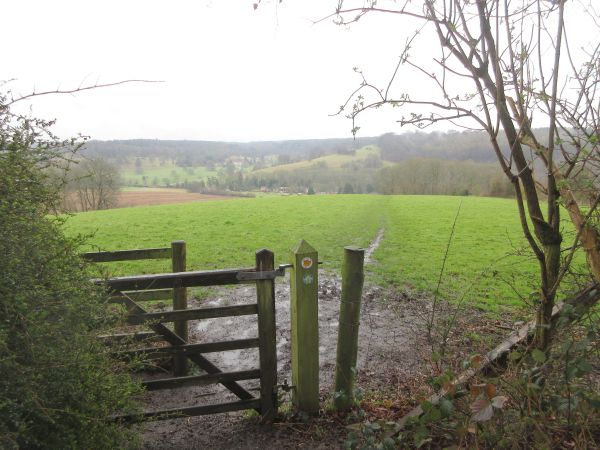 Royston Group - Ramblers