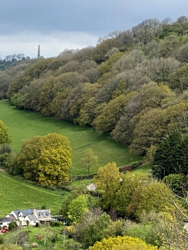 Figure of 8 walk: Angidy Valley and Devil's Pulpit - Ramblers