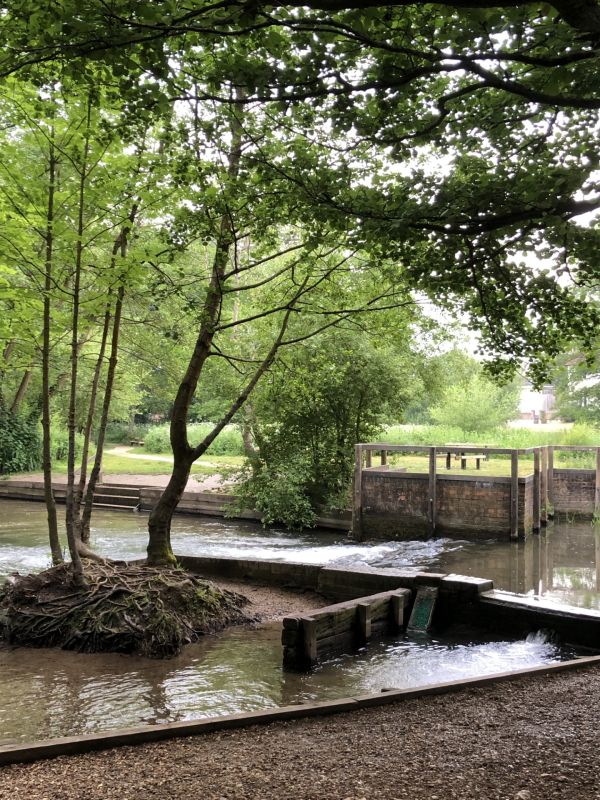 Meon Group - Ramblers