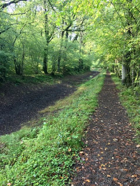 *Booking required* Guided walk across Horsell Common with an expert ...