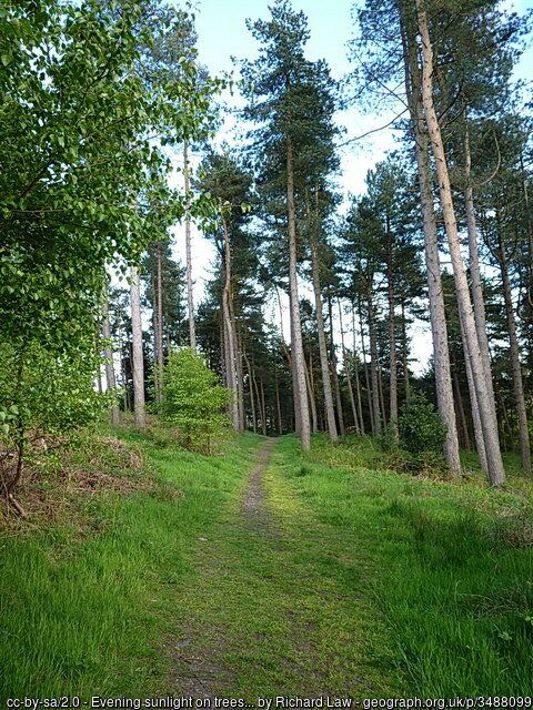 Pipe Hall Farm (Burntwood, Staffs.) 4.5m 08/06/24 - Ramblers