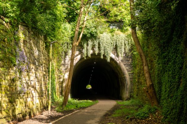 Walk magazine autumn 2024 - Ramblers