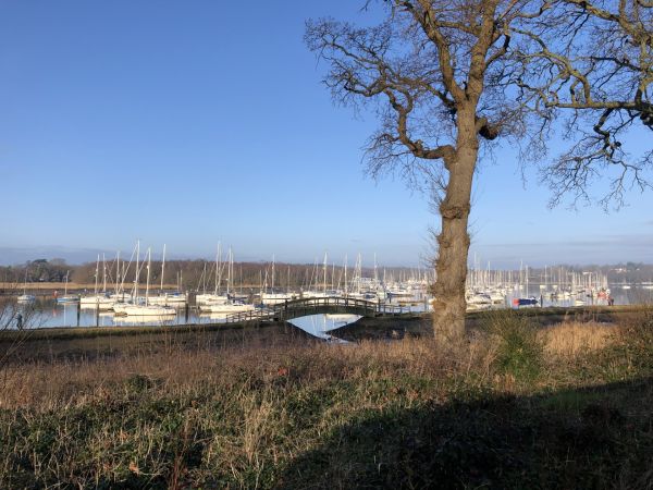 Meon Group - Ramblers