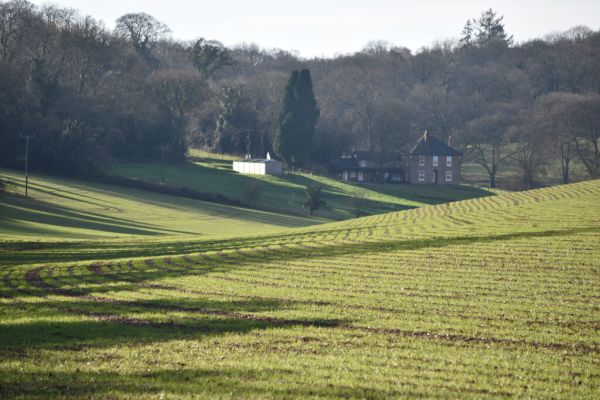 THE TRAIL OF THE BISTERNE DRAGON - Ramblers
