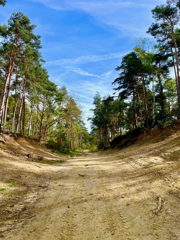 Woking Group - Ramblers