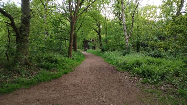 Nottinghamshire Area - Ramblers
