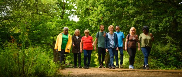 Thursley Common boardwalk named Britain’s Favourite Path by the ...