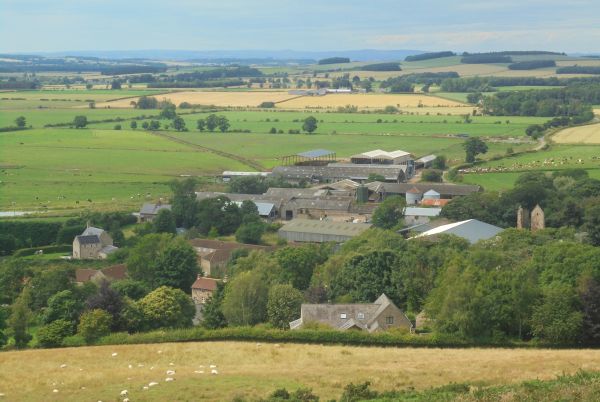 Tyneside Group - Ramblers