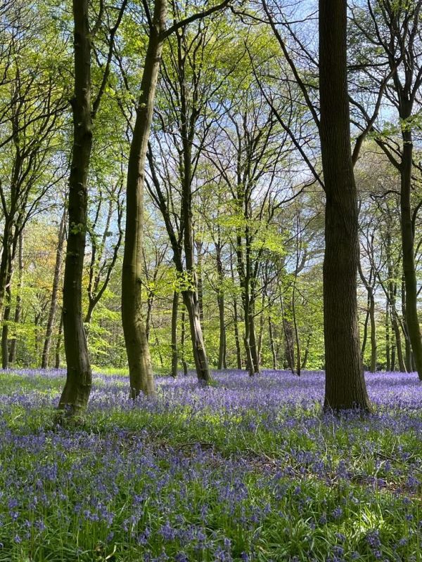 Inner London Area - Ramblers