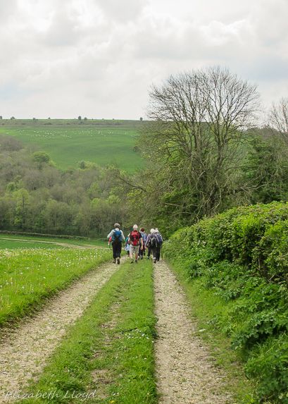 Stoke Park Circular - Ramblers