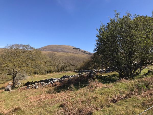 Aberglaslyn, Llyn Dinas, Cwm Bychan, and Beddgelert - Ramblers