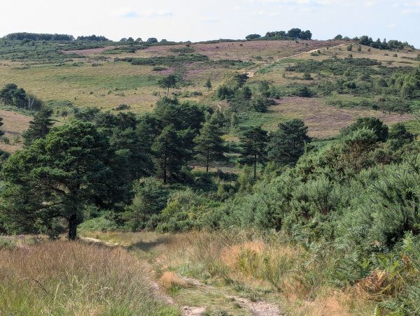 The Broomway - The deadliest path in Britain - FULLY BOOKED - Ramblers
