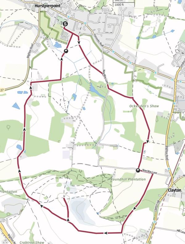 Sussex Area - Ramblers