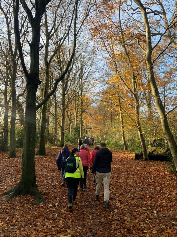 Little Hay - Grade 3-4