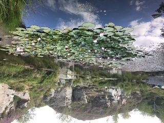 Exeter & District Group - Ramblers