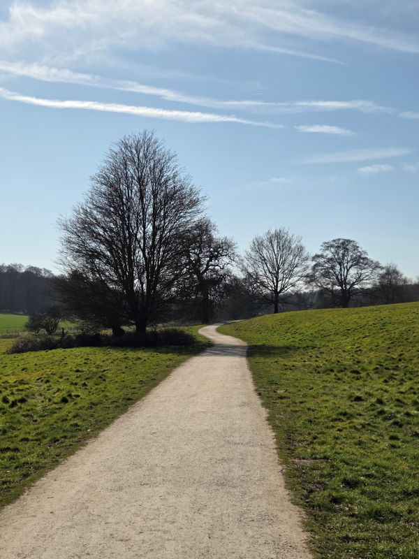 Whitton to Akenham Walk