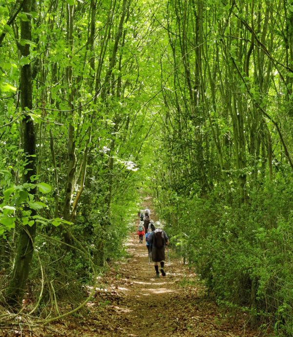 Southampton Group - Ramblers