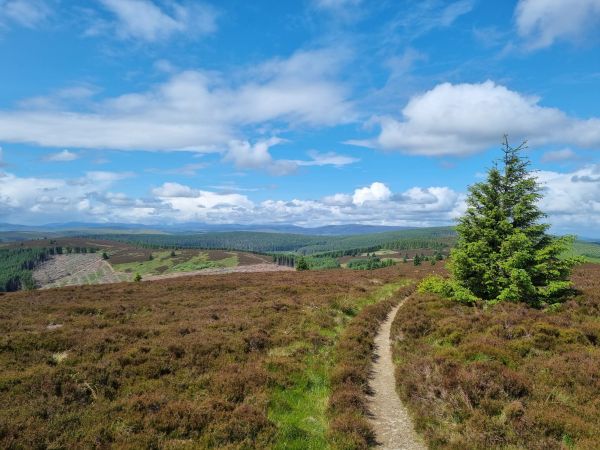 Lilliesleaf Circular - Ramblers