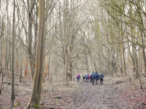 Wold Newton - Ramblers