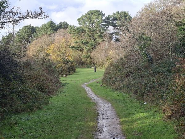 Ramblers Wellbeing Walks Cornwall - Kerrier