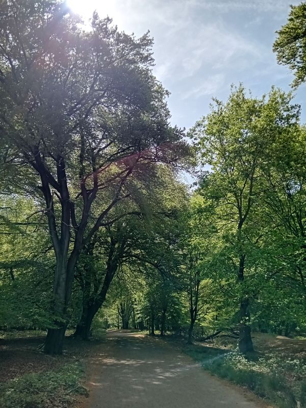 Inner London Area - Ramblers