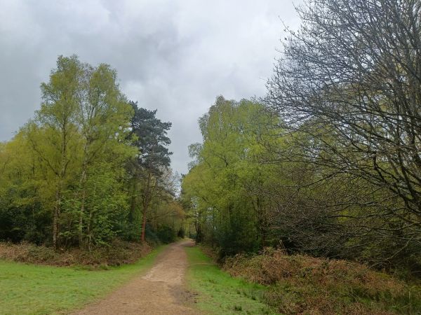 Surrey Area - Ramblers