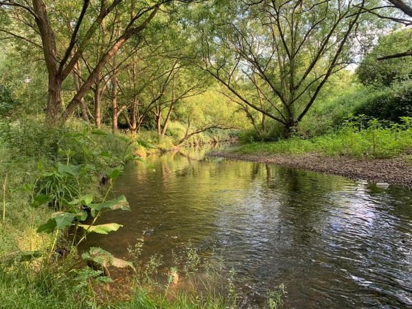 Inner London Area - Ramblers